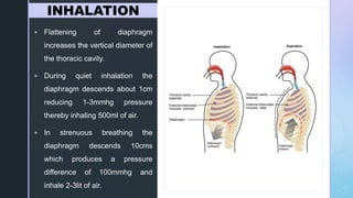 Pulmonary ventilation | PPTX