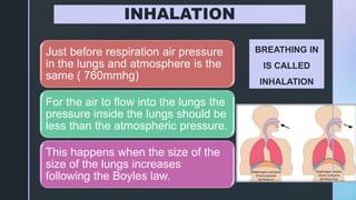 Pulmonary ventilation | PPTX