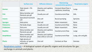 Pulmonary ventilation.pptx