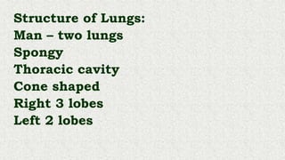Pulmonary ventilation.pptx