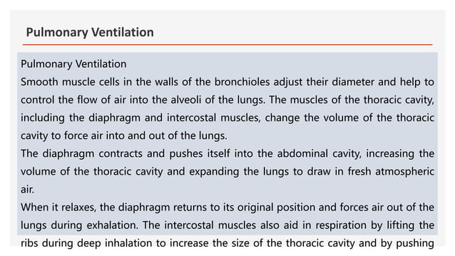 Pulmonary Ventilation.pptx