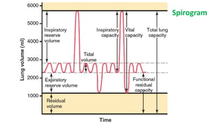 Pulmonary ventilation - FINAL (1).pdf
