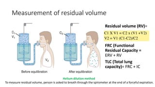 Pulmonary ventilation - FINAL (1).pdf