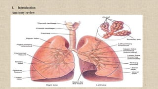 Pulmonaty Tuberclosis ((PTB) | PDF