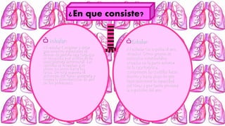 Pulmones | PPTX