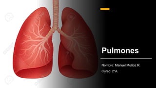 PULMONES MANUEL MUÃ_OZ.pptx