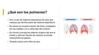 PULMONES MANUEL MUÃ_OZ.pptx