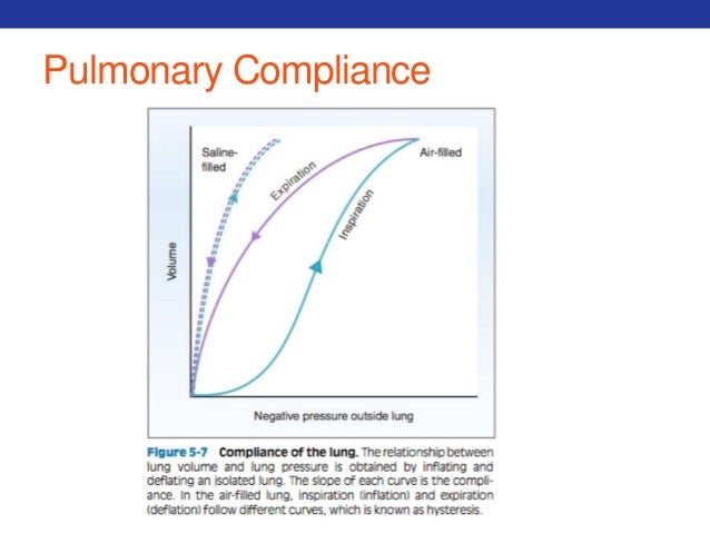 Pulmonology Review