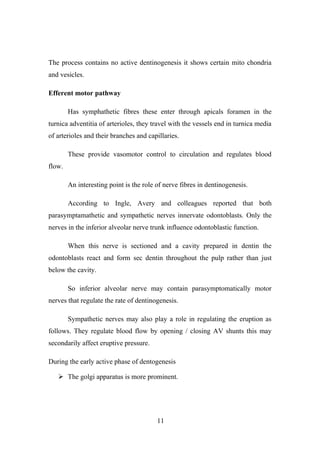 Pulp | DOC | Dental Health | Diseases and Conditions