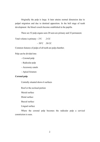 Pulp | DOC | Dental Health | Diseases and Conditions