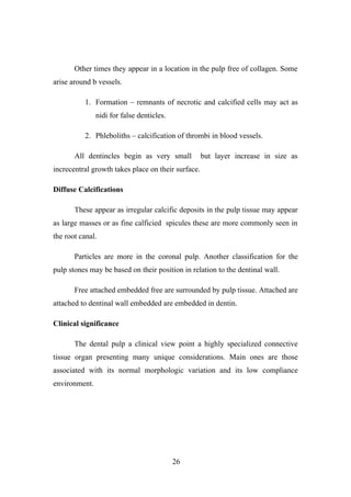 Pulp | DOC | Dental Health | Diseases and Conditions