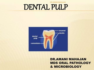 dental pulp for BDS | PPTX | Dental Health | Diseases and Conditions
