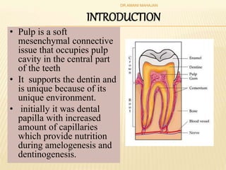 dental pulp for BDS | PPTX | Dental Health | Diseases and Conditions