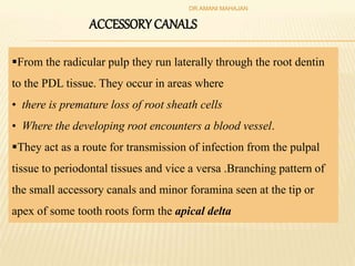 dental pulp for BDS | PPTX | Dental Health | Diseases and Conditions