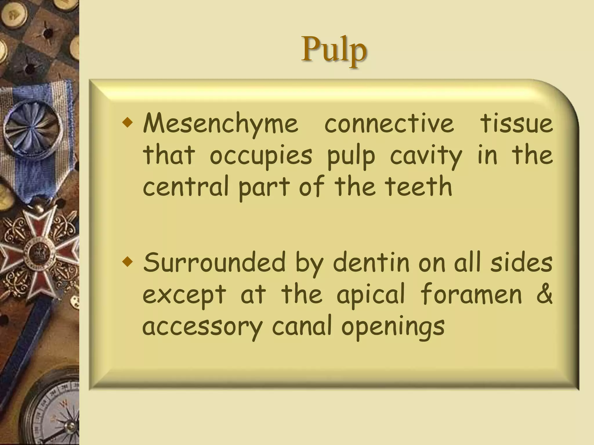 Pulp | PPT
