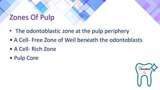Pulp | PPT