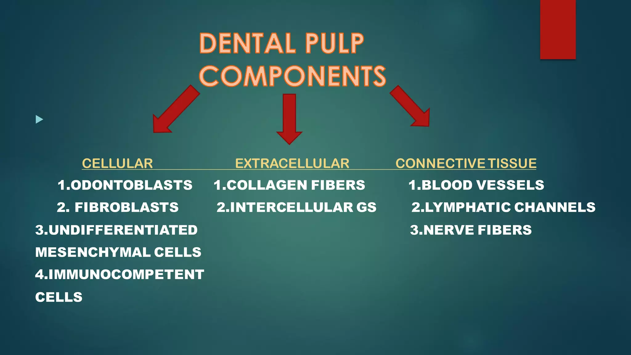 Pulp - structural components | PDF