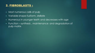 Pulp - structural components | PDF