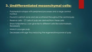 Pulp - structural components | PDF
