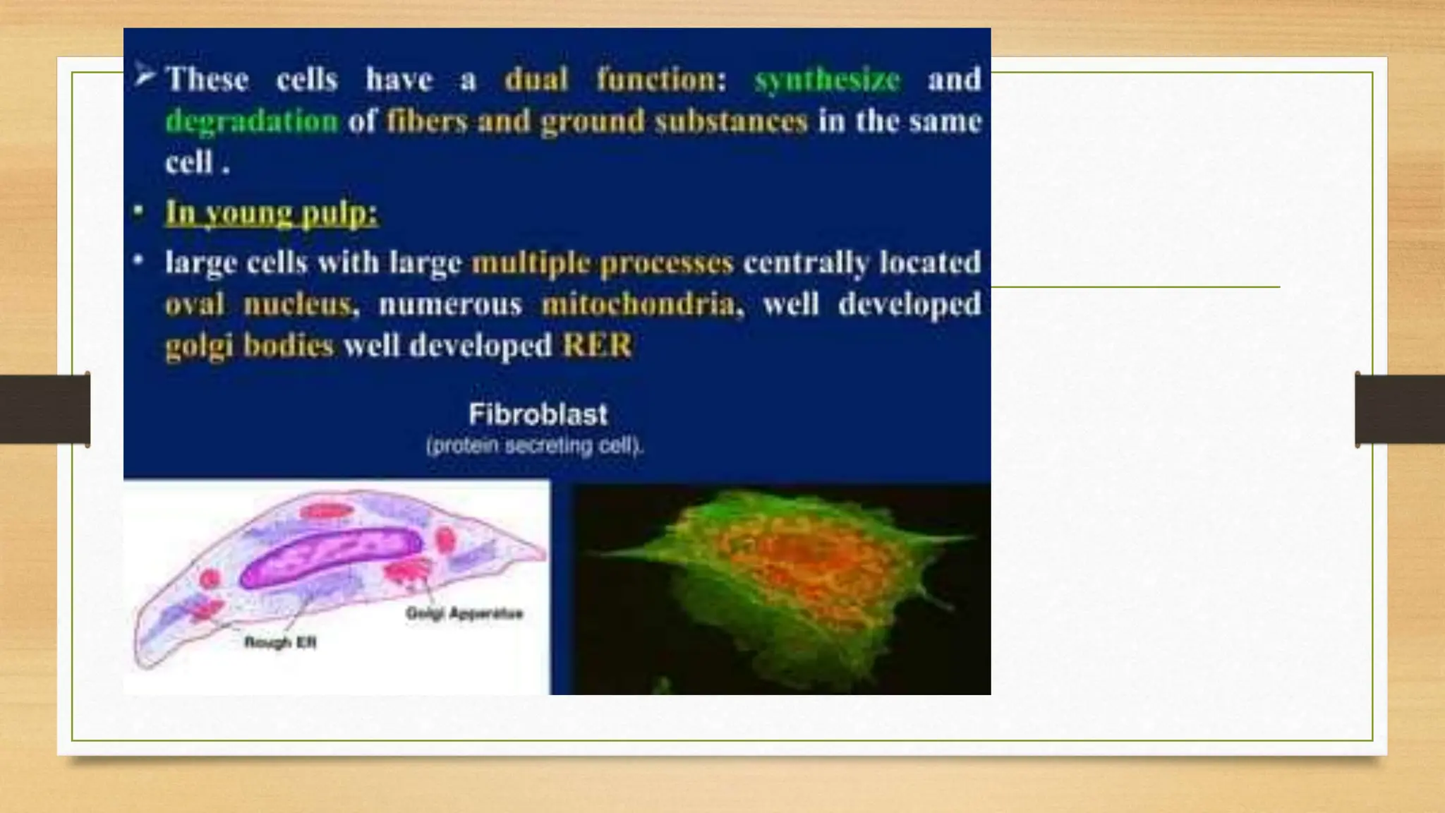 PULP and it's histology ,zones ,cells ,age changes and clinical ...