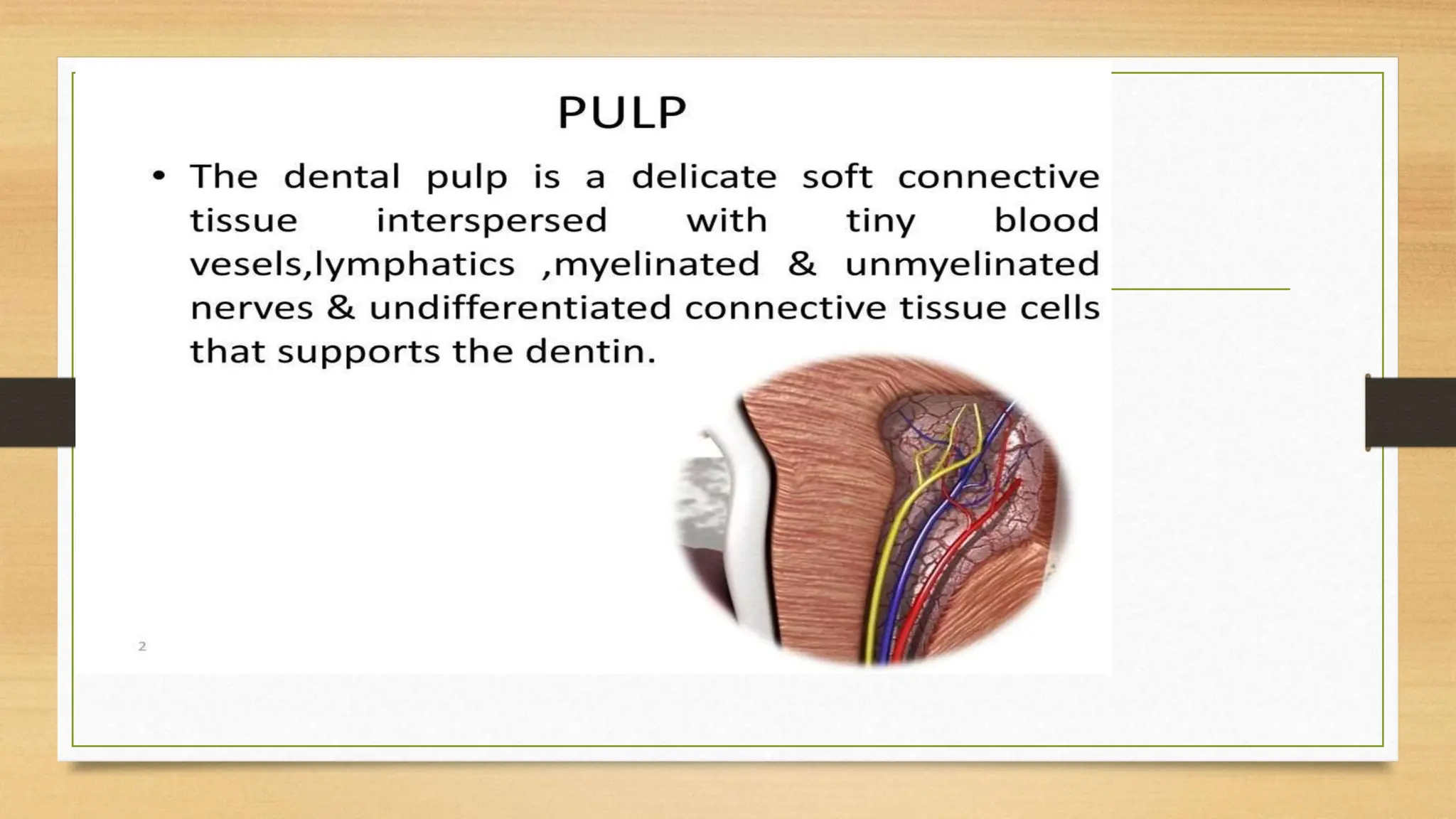 PULP and it's histology ,zones ,cells ,age changes and clinical ...