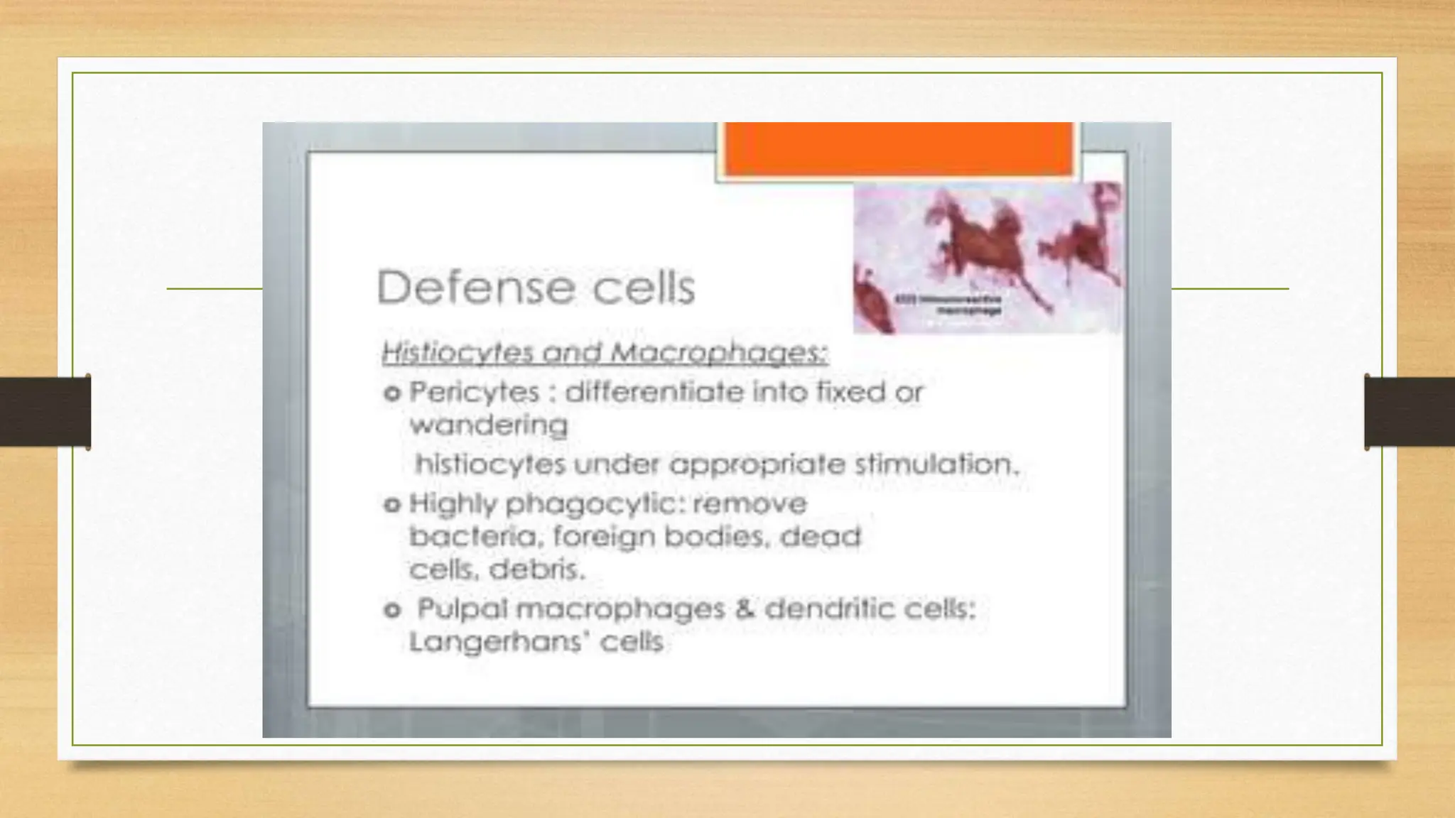PULP and it's histology ,zones ,cells ,age changes and clinical ...