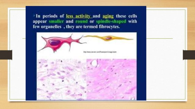 PULP and it's histology ,zones ,cells ,age changes and clinical ...
