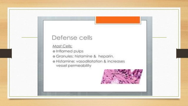 PULP and it's histology ,zones ,cells ,age changes and clinical ...