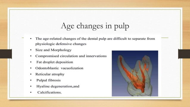 PULP and it's histology ,zones ,cells ,age changes and clinical ...