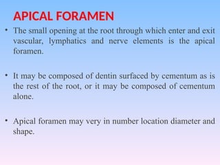 PULP is the innermost component in tooth structure.ppt