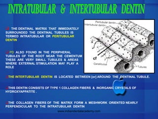 Intratubular Dentin