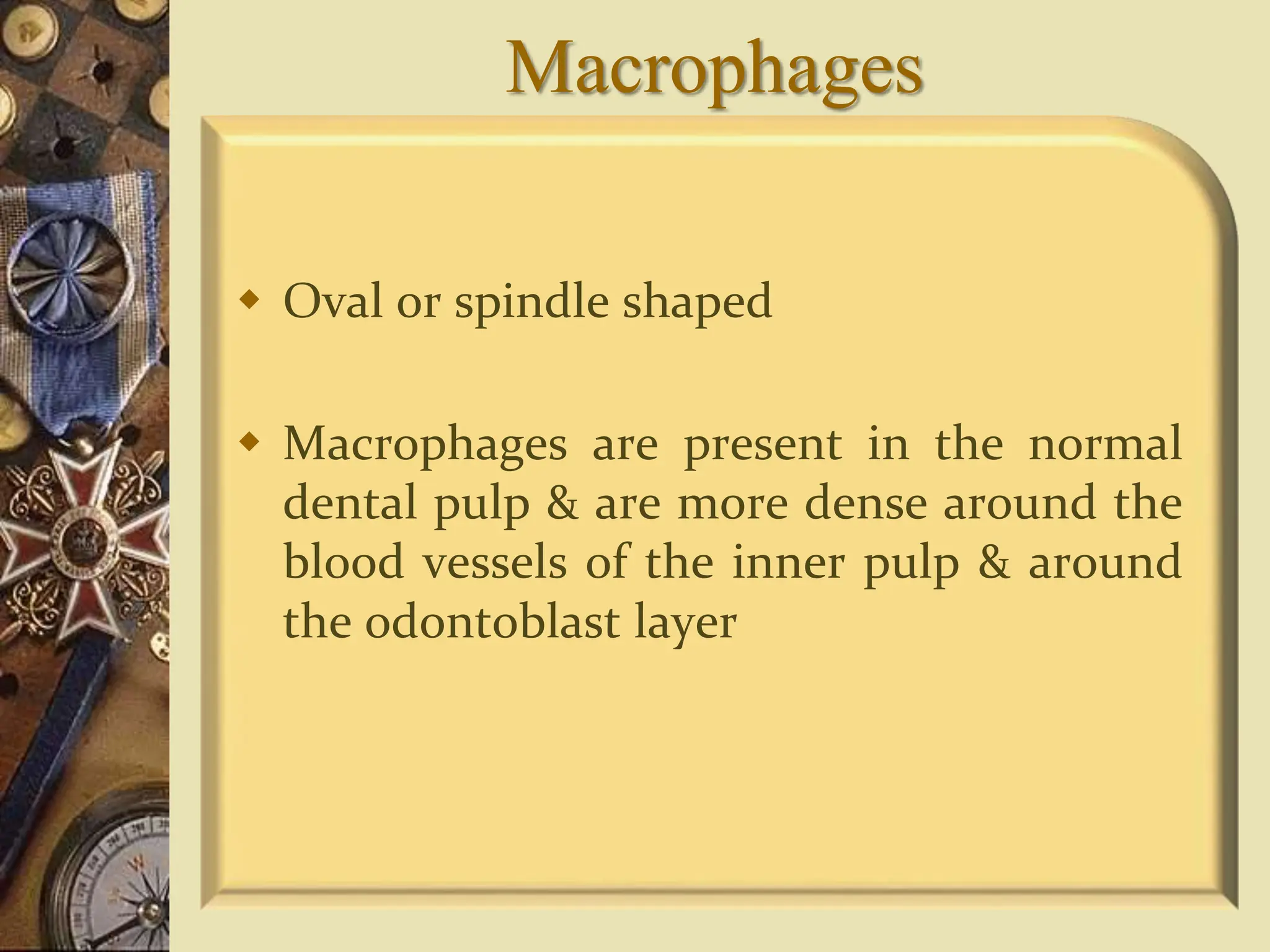 PULP-Theory class.ppt