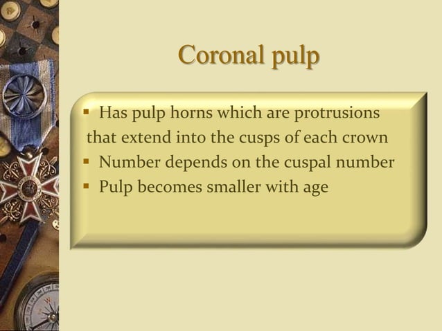 PULP-Theory class.ppt | Dental Health | Diseases and Conditions