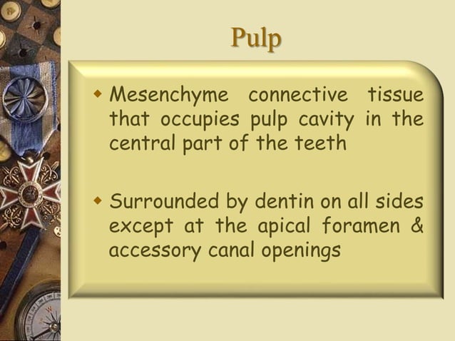 PULP-Theory class.ppt | Dental Health | Diseases and Conditions