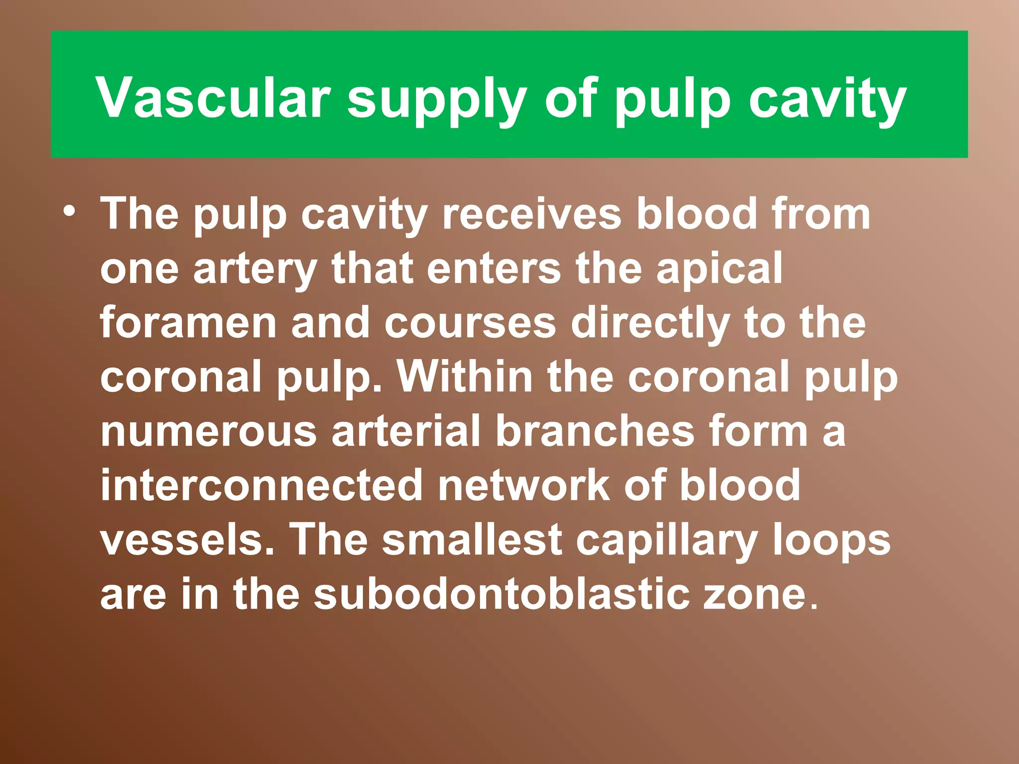 Pulp | PPT