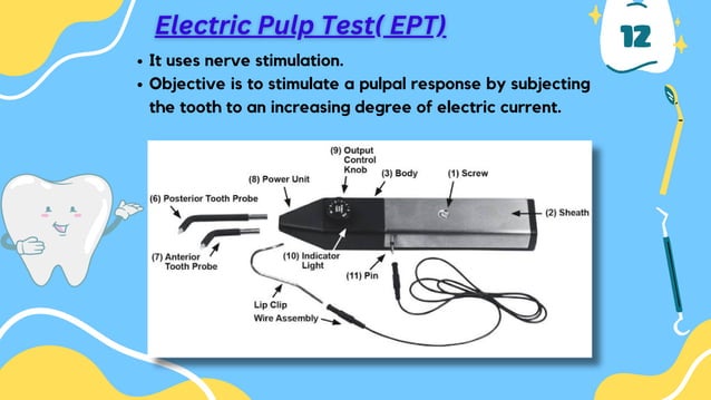Pulpal diagnostic methods used in Dentistry | PDF | Dental Health ...