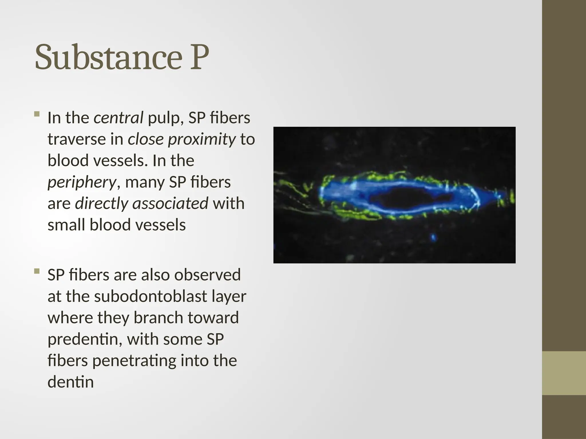 pulpal diseases.pptx, pulpal diseases of teeth | PPTX