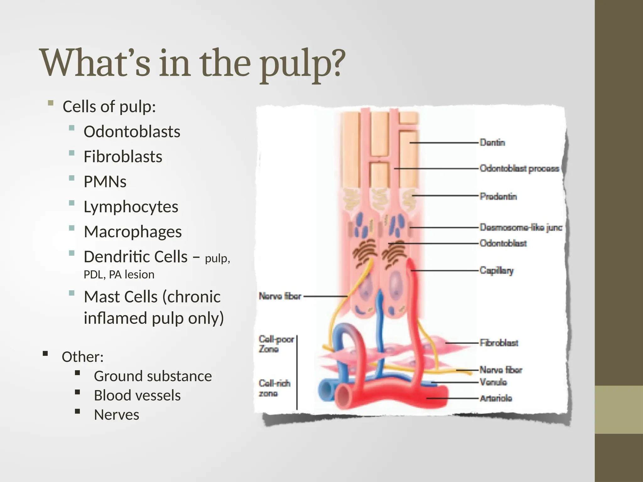 pulpal diseases.pptx, pulpal diseases of teeth | PPTX