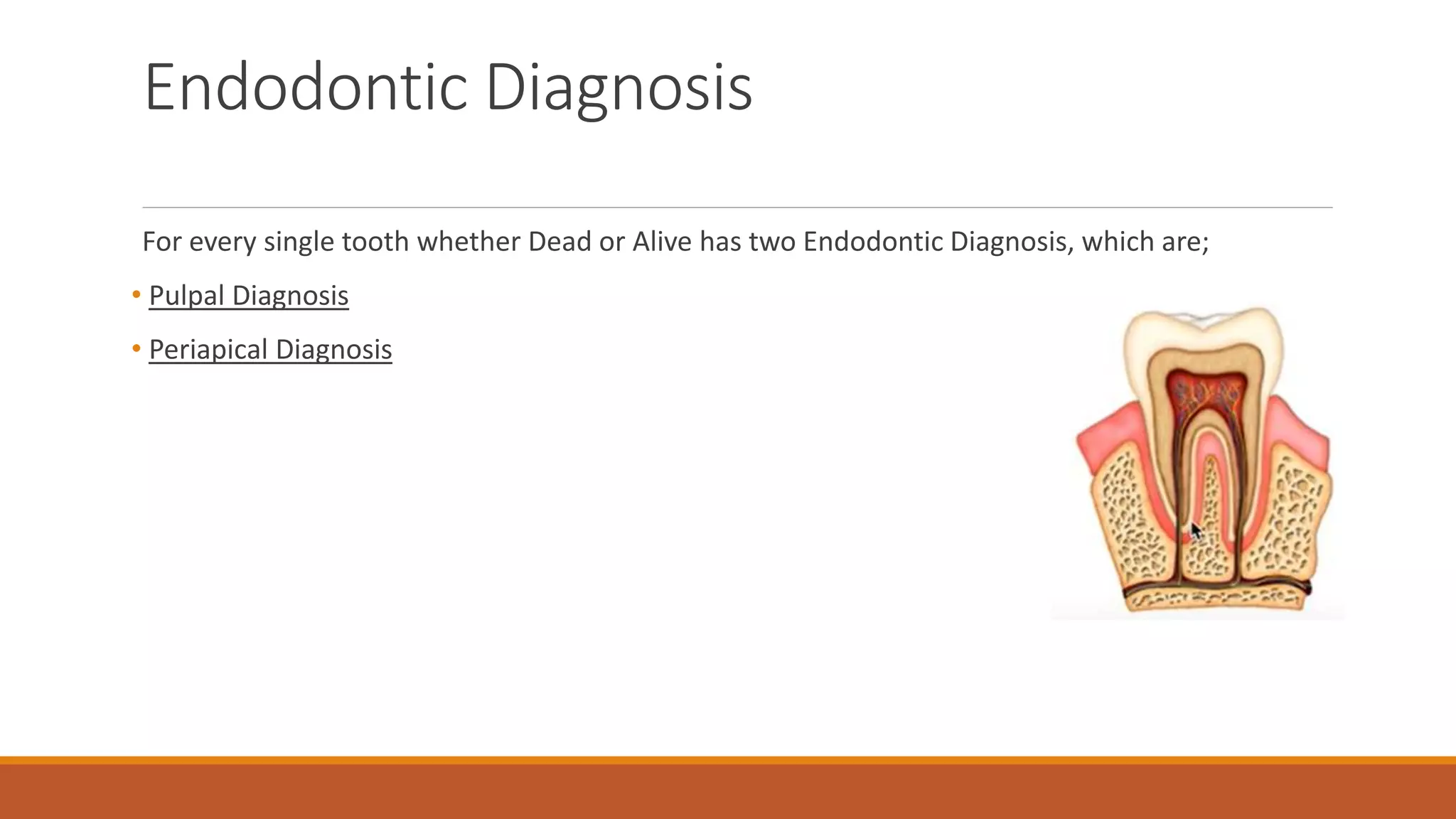 Pulpal & PeriApical Diagnosis.pptx
