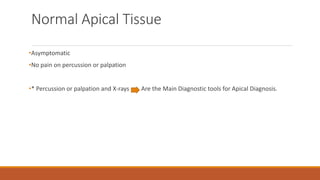 Pulpal & PeriApical Diagnosis.pptx | Dental Health | Diseases and ...