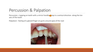Pulpal & PeriApical Diagnosis.pptx