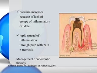 Pulpal & periradicular diseases & their diagnosis | PPTX