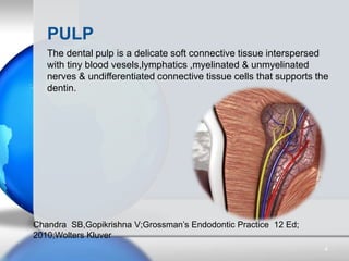 Pulpal & periradicular diseases & their diagnosis | PPTX