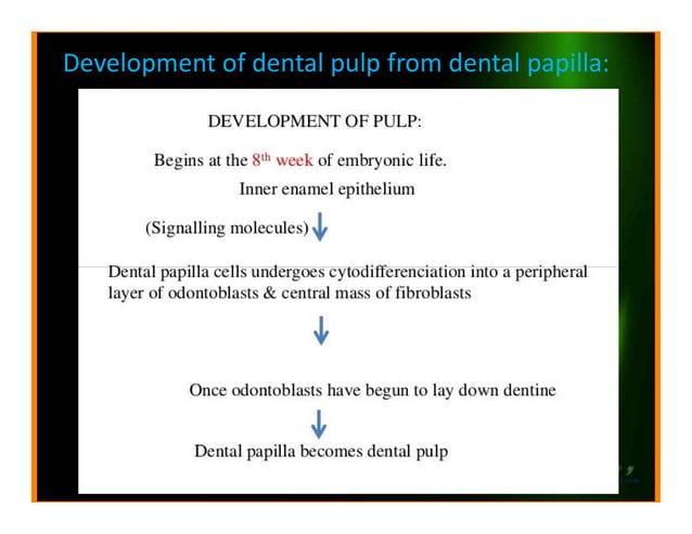 Pulpal reactions to operative procedures | PDF | Dental Health ...