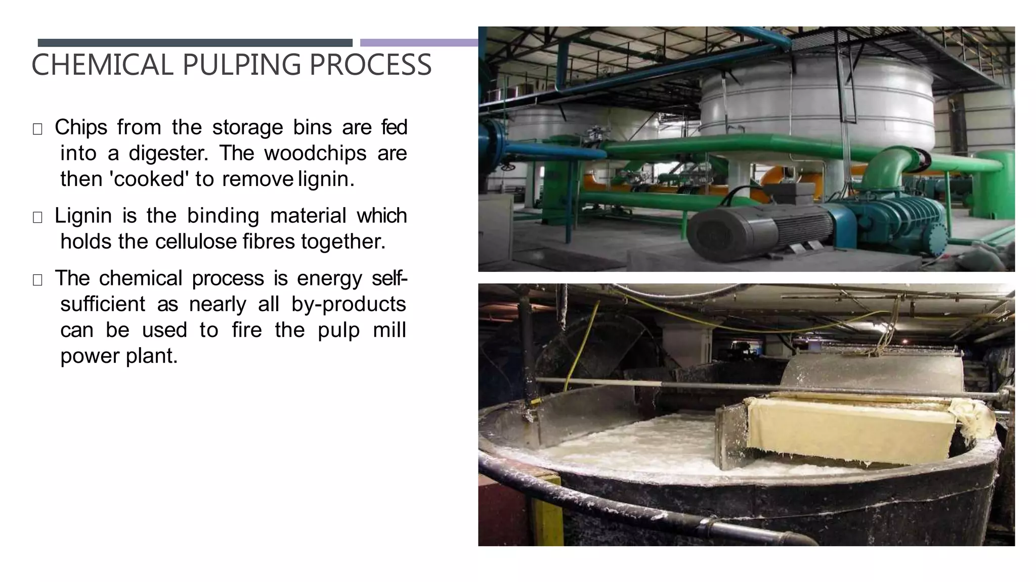Pulp and paper industry (waste management) | PPTX