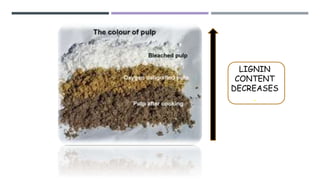 Pulp and paper industry (waste management) | PPTX