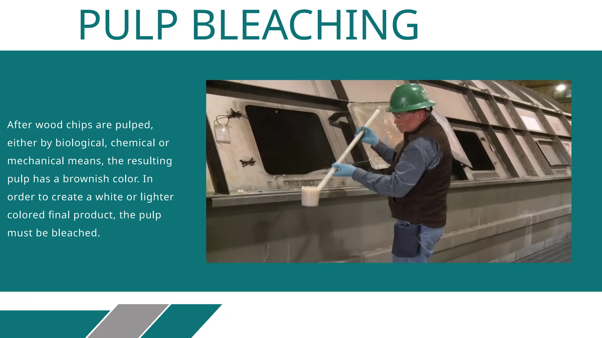 Pulp and Paper Industry - Biopulping.pptx