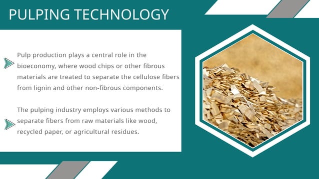 Pulp and Paper Industry - Biopulping.pptx