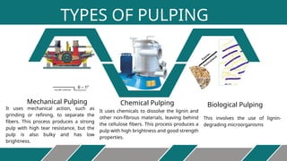 Pulp and Paper Industry - Biopulping.pptx