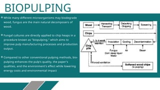 Pulp and Paper Industry - Biopulping.pptx